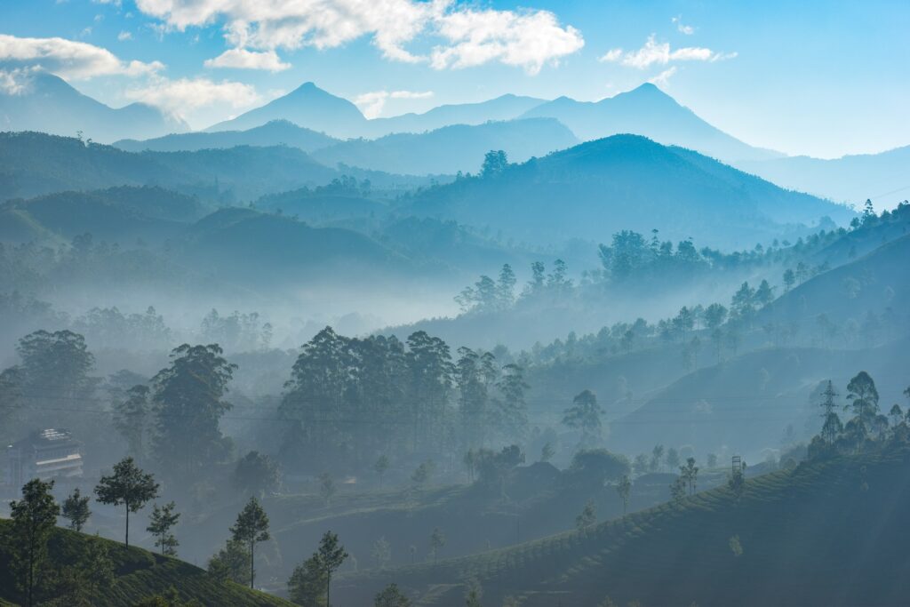 KERALA THE GREEN PARADISE – Halal Trip India